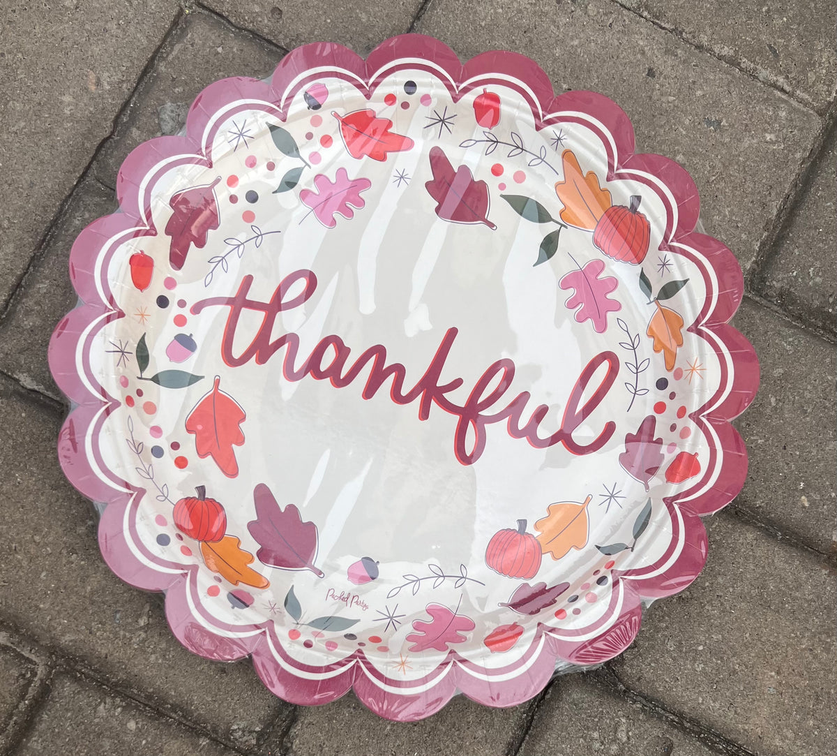 Thanks Giving supplies – Partylocks